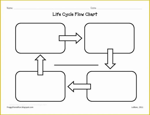 Free Blank Flow Chart Template For Word Of Blank Flow Chart Template 