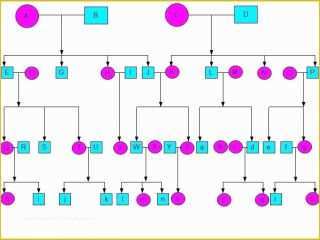 Free Family Tree with Siblings Template Of Kids Family Tree Free ...
