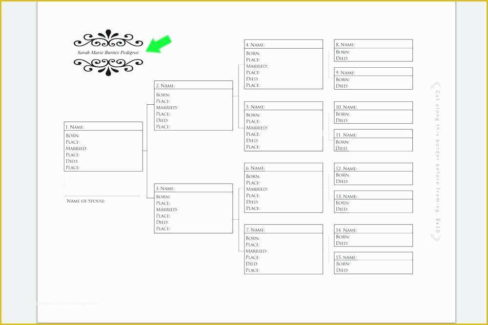 Free Rabbit Pedigree Template Of Rabbit Pedigree Blank Chart Rabbits 