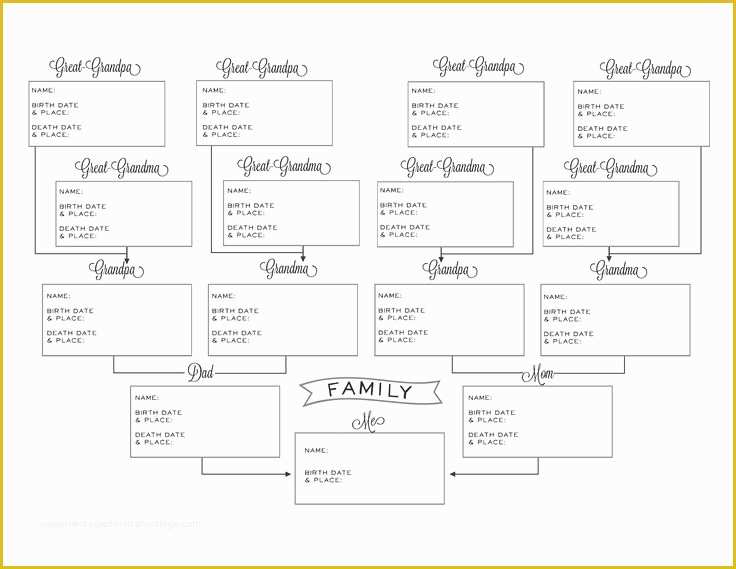 Free Printable Rabbit Pedigree Forms Printable Forms Free Online