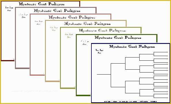 Free Rabbit Pedigree Template