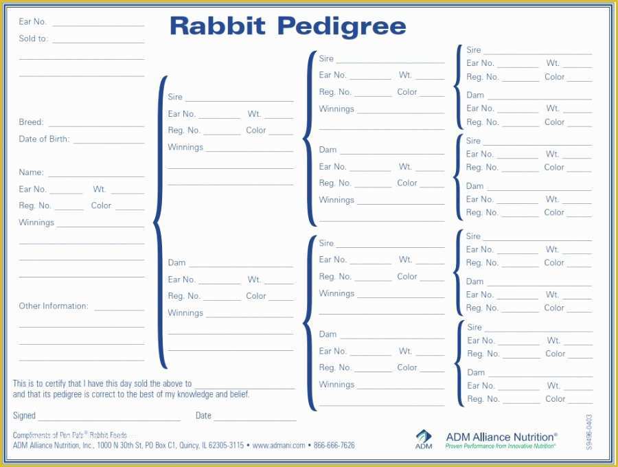 Free Rabbit Pedigree Template Of Rabbit Pedigree Chart Tool For Making 