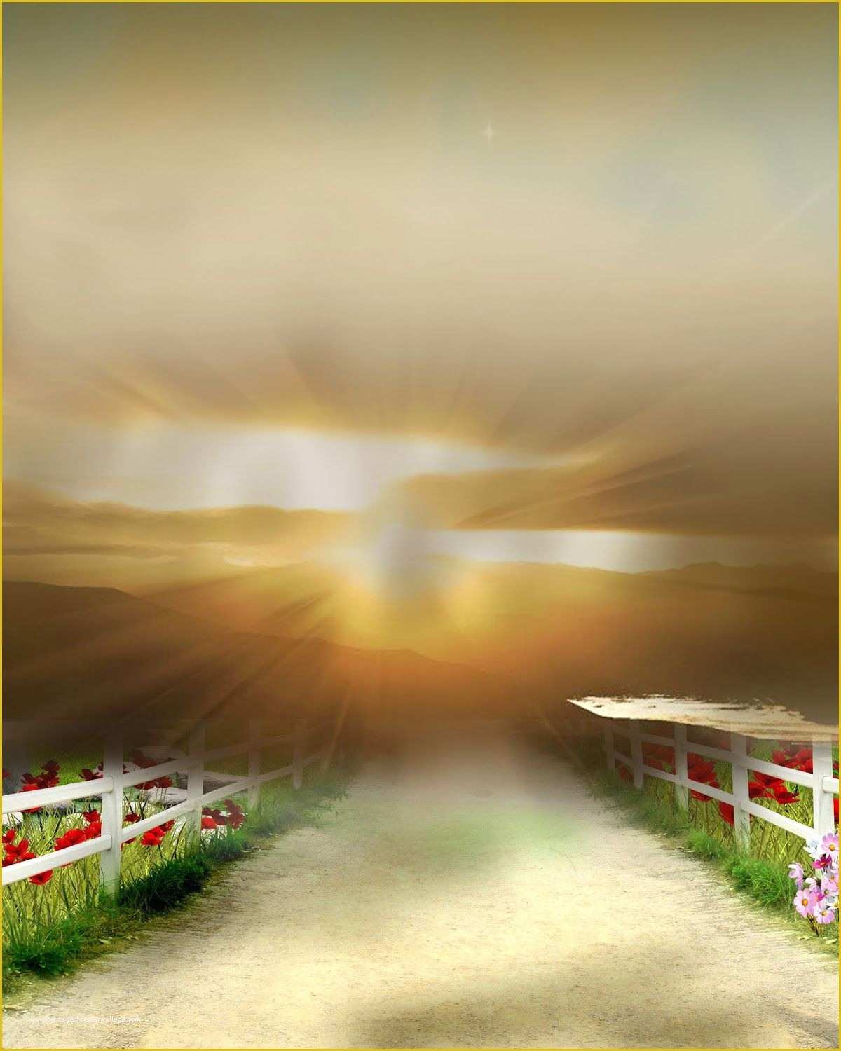 Studio Background Ideas Studio Background Psd Free Photoshop Hot 