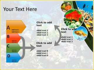 Coral Reef Powerpoint Template Free Of Coral Reefs Powerpoint Templates ...