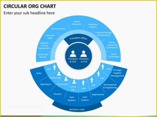 Free Circular organizational Chart Template Of Circular org Chart ...