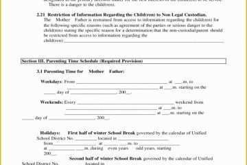 42 Free Custody Agreement Template | Heritagechristiancollege