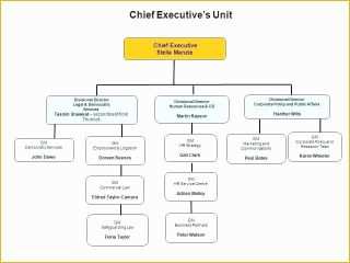 Free Easy organizational Chart Template Of Functional organizational ...