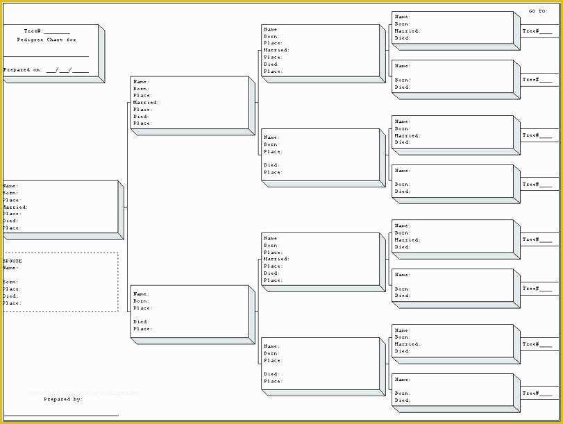Blank Family History Forms Printable