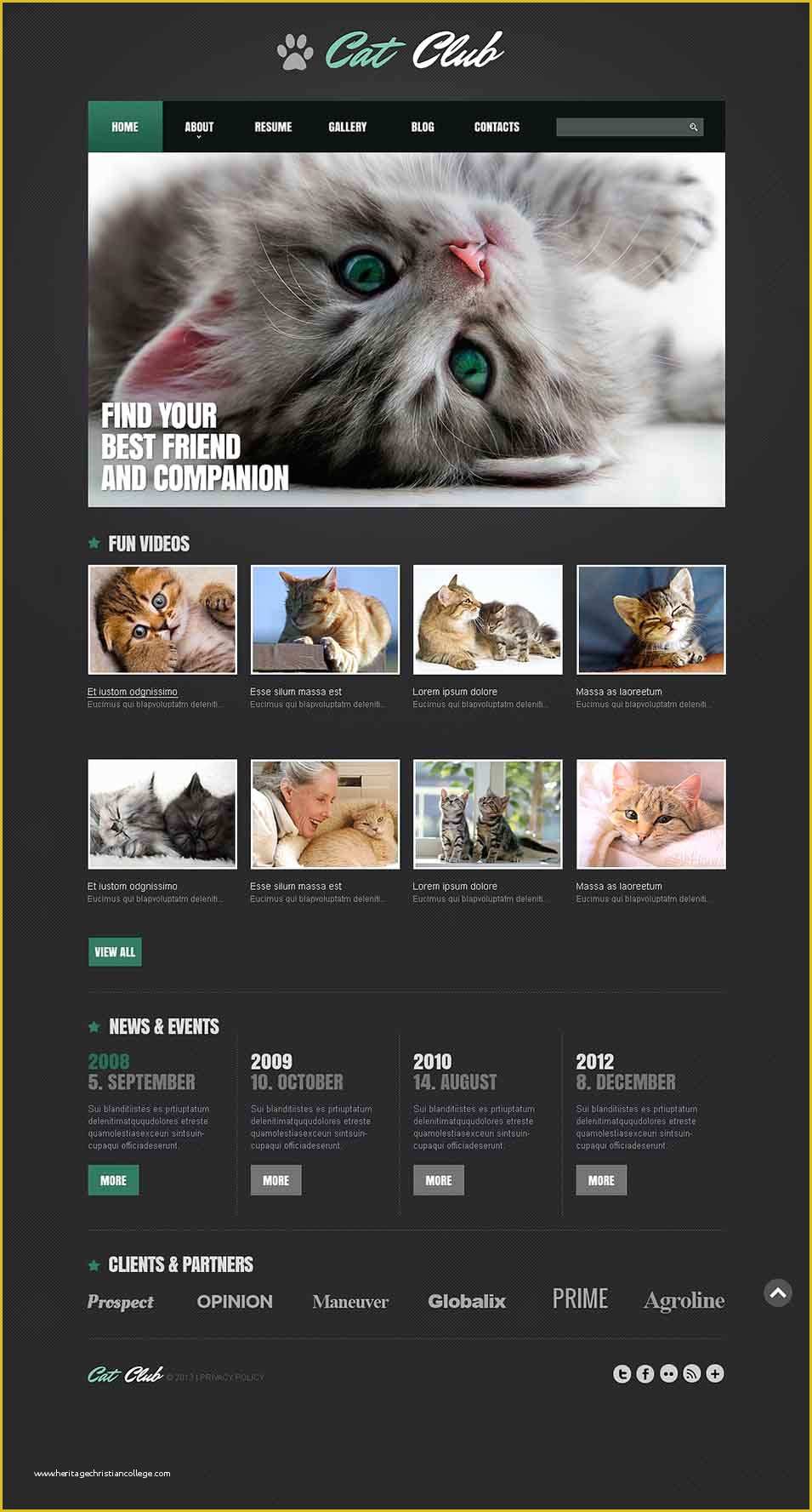 Free Pet Store Website Templates Of Pets Store Joomla Website Templates