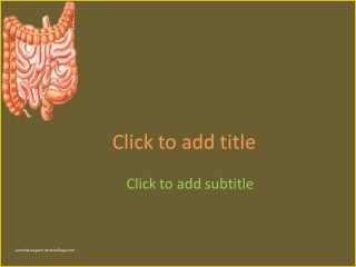 Free Powerpoint Templates Medical theme Of Free Gastrointestinal ...