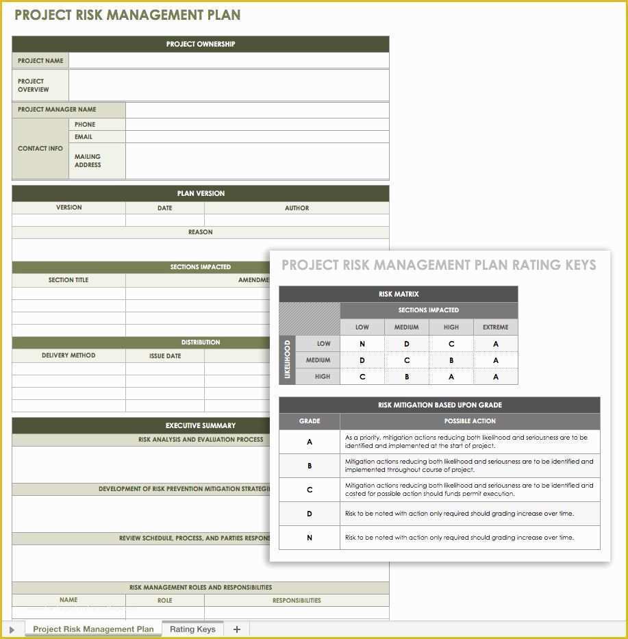 Free Program Management Templates Of Free Risk Management Plan Free Program Management Templates Of Free Risk Management Plan