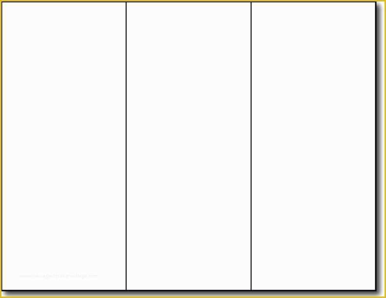 Blank Tri Fold Brochure Template
