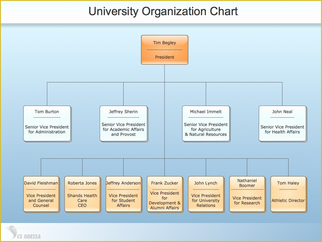 Discover Organizational Chart And Hierarchy Template Infographicnow Com 