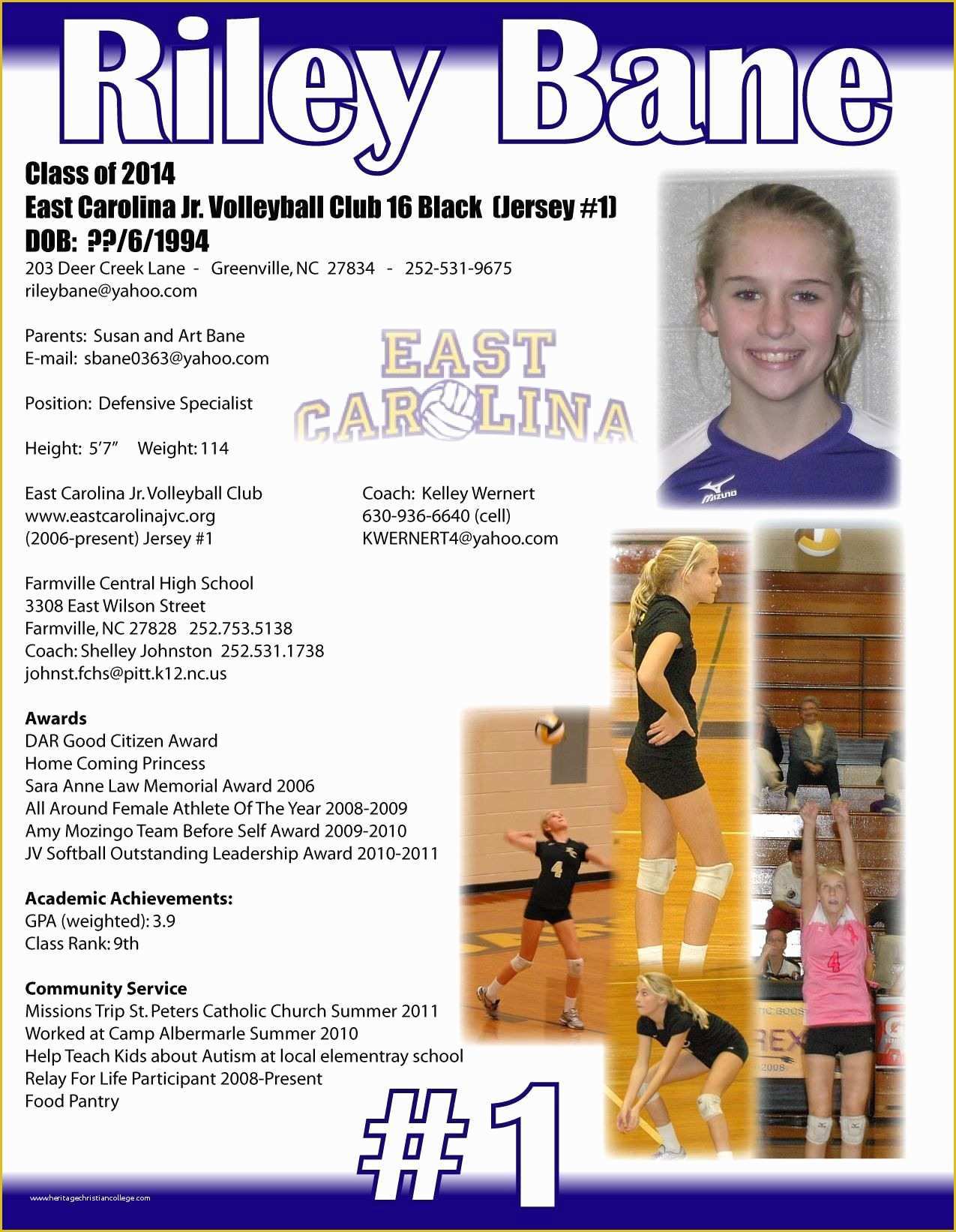 Free Softball Player Profile Template Pdf