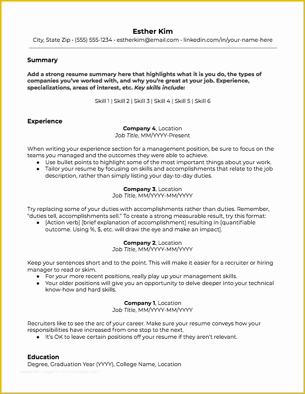 What Is The Best Free Resume Template Of Premium Resume Templates 